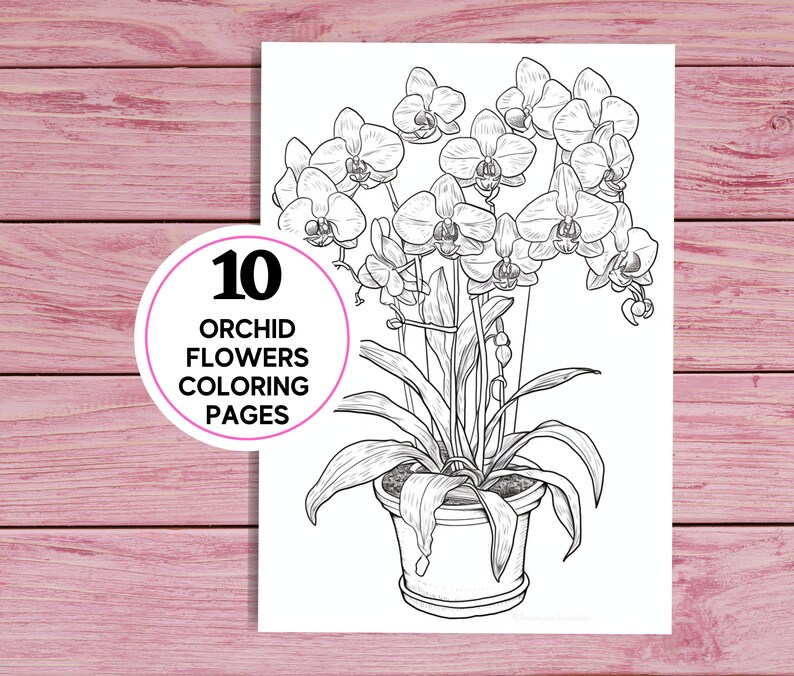 Beautiful Orchids 10 Coloring Pages for Adults Printable PDF 10 Pages ...