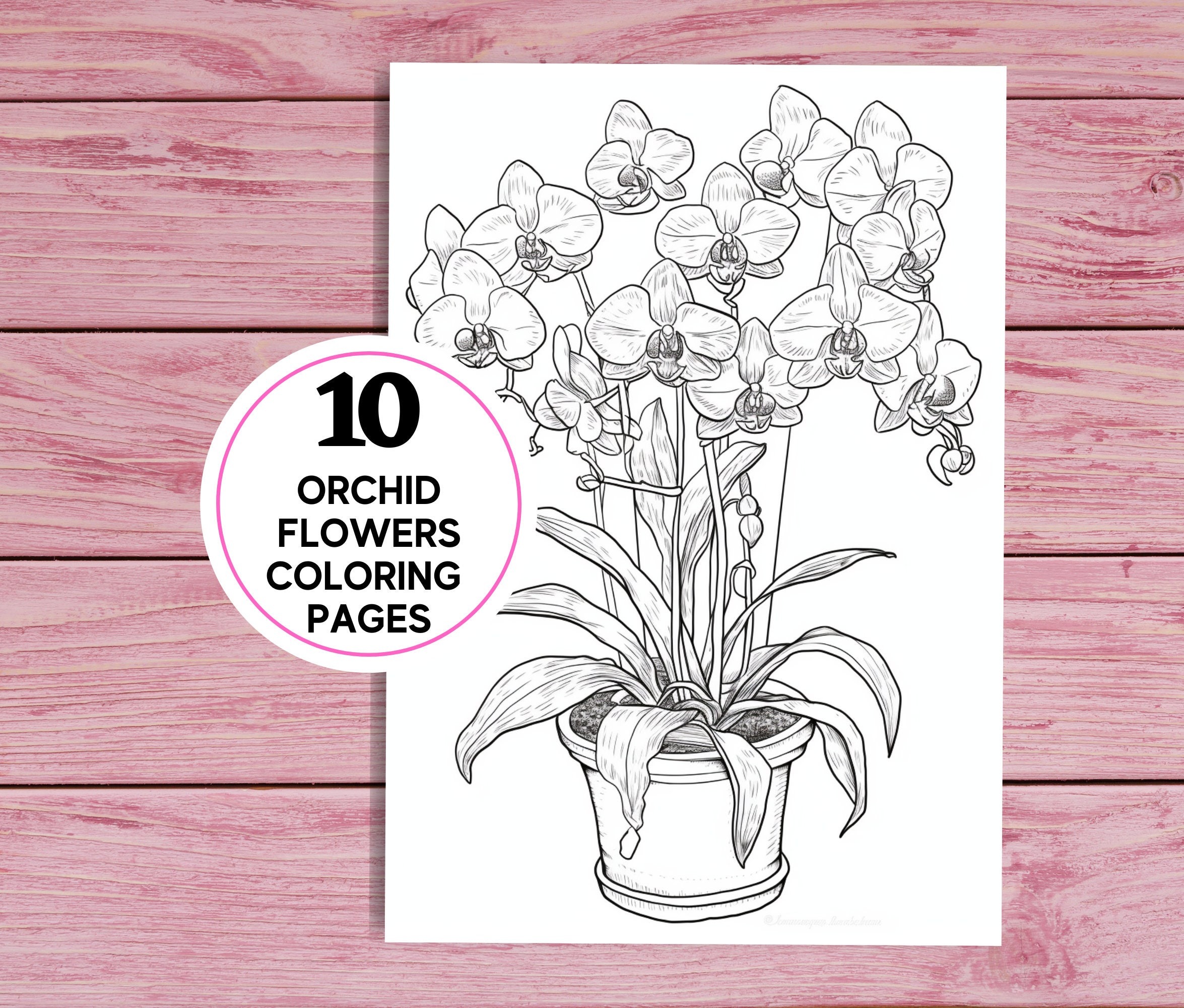 Beautiful Orchids 10 Coloring Pages for Adults Printable PDF 10 Pages ...
