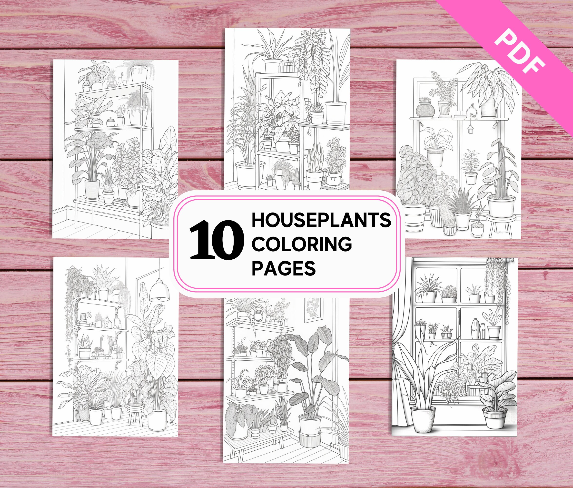 Houseplant Coloring Pages for Adults - 10 Printable Illustrations (PDF ...