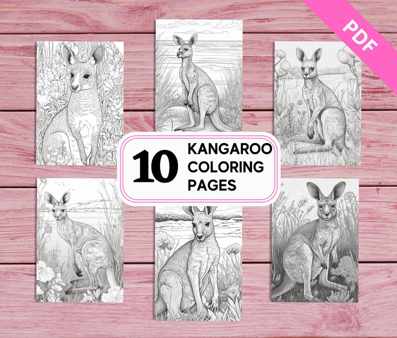 Kangaroo - 10 Realistic Coloring Pages for Kids and Adults | Printable PDF 10 Pages A4 | Instant ...