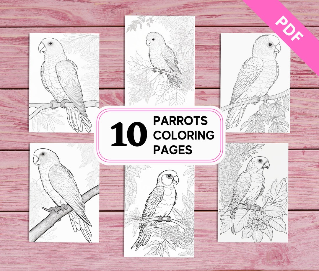 Parrots - 10 Coloring Pages for Kids and Adults | Printable PDF 10 ...