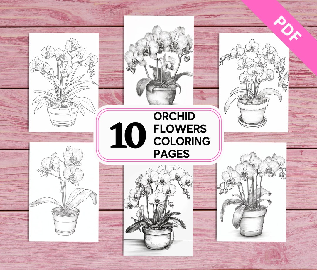 Beautiful Orchids - 10 Coloring Pages for Adults | Printable PDF 10 ...