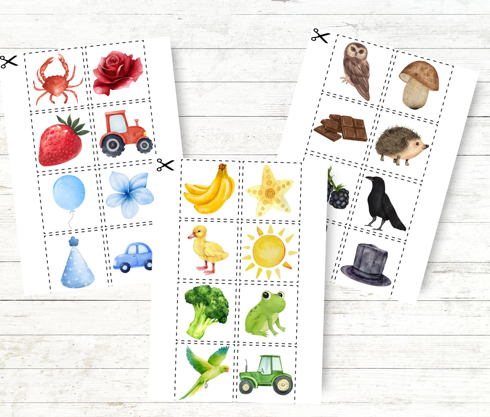 Colors Cut and Paste Matching Sorting Worksheet Color Matching Activity ...