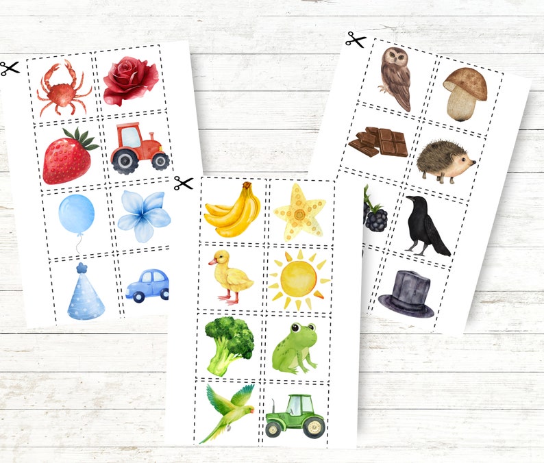 Colors Cut and Paste Matching Sorting Worksheet Color Matching Activity ...