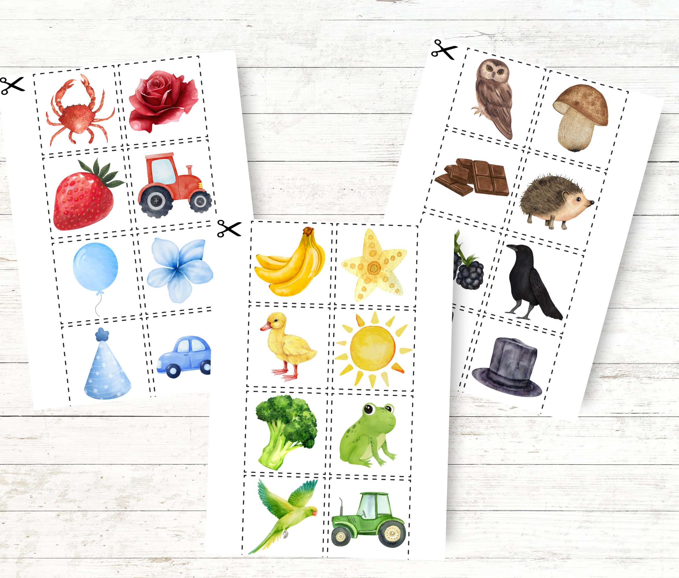 Colors Cut and Paste Matching Sorting Worksheet Color Matching Activity ...