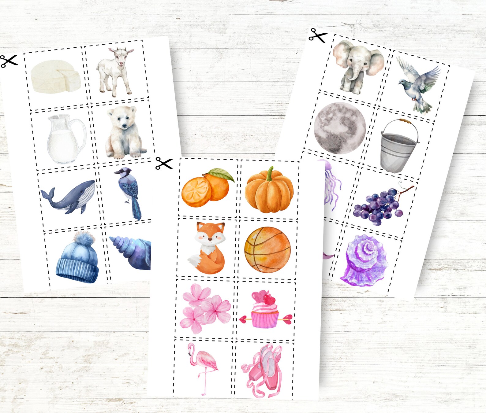 Colors Cut and Paste Matching Sorting Worksheet Color Matching Activity ...