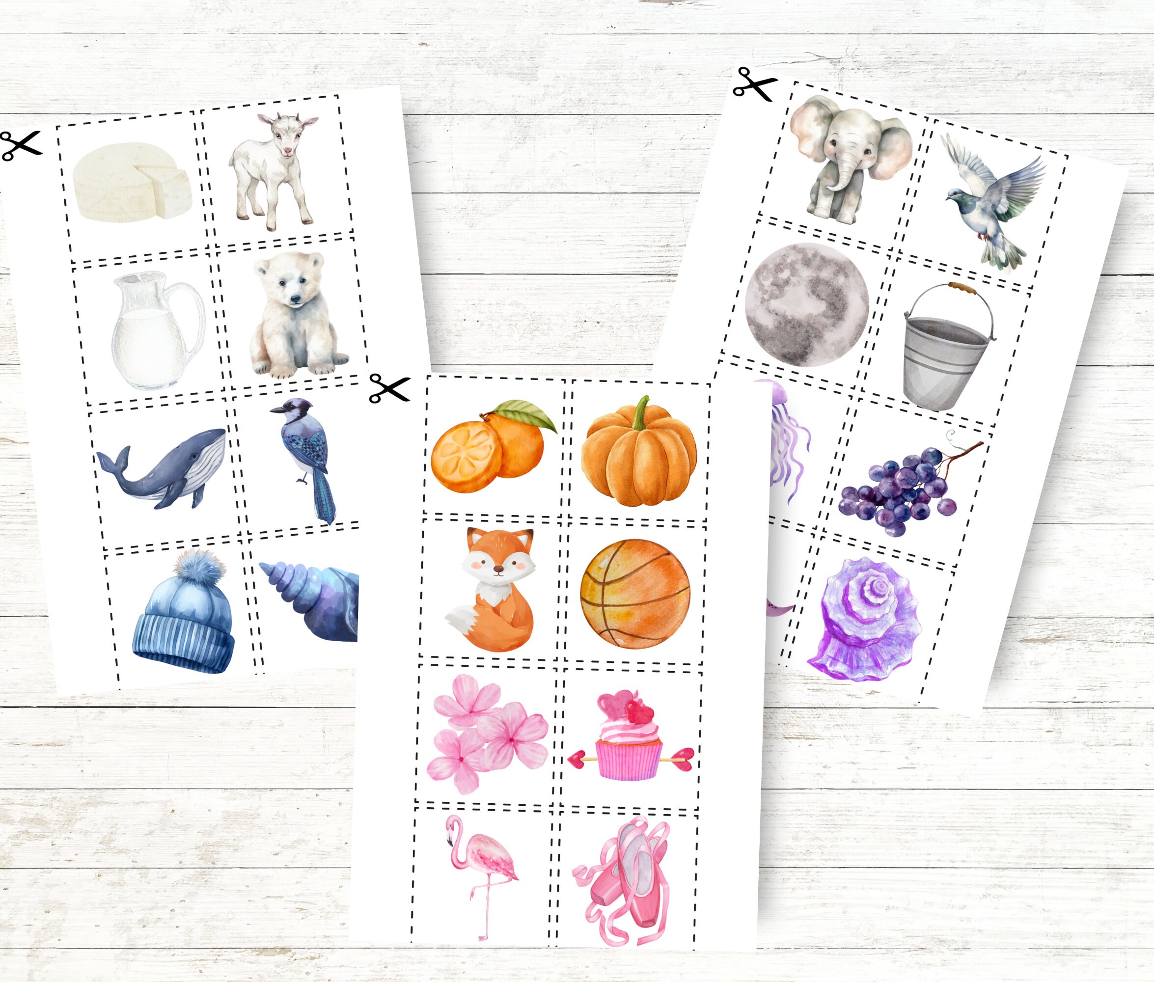 Colors Cut and Paste Matching Sorting Worksheet Color Matching Activity ...