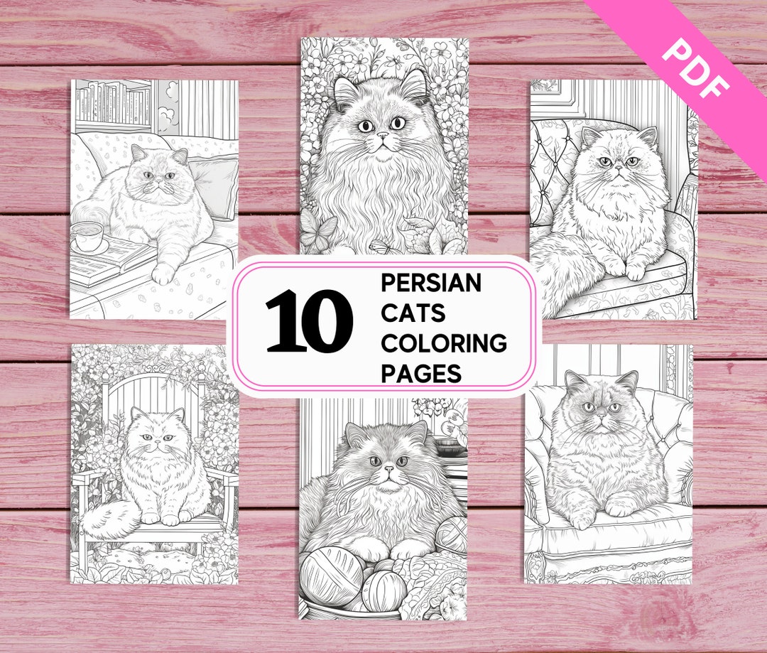 10 Persian Cats Coloring Pages for Kids and Adults | Printable PDF 10 ...
