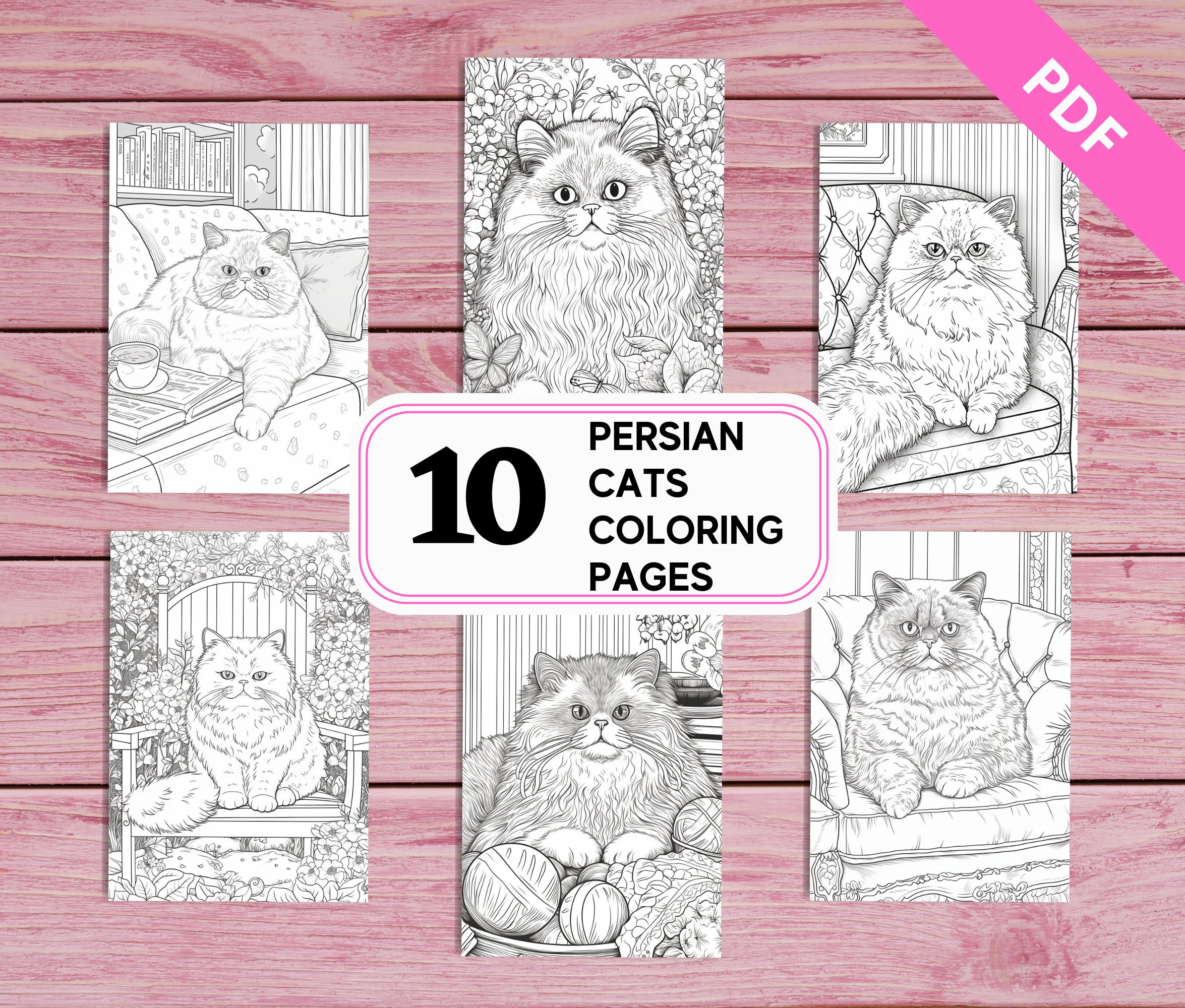 10 Persian Cats Coloring Pages for Kids and Adults | Printable PDF 10 ...