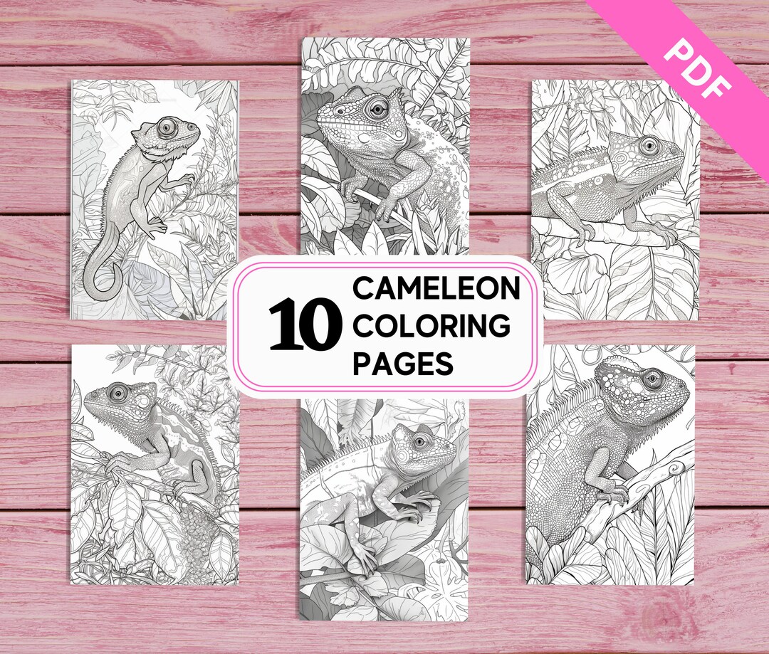 Chameleon Coloring Pages for Kids & Adults | 10 Grayscale Sheets ...