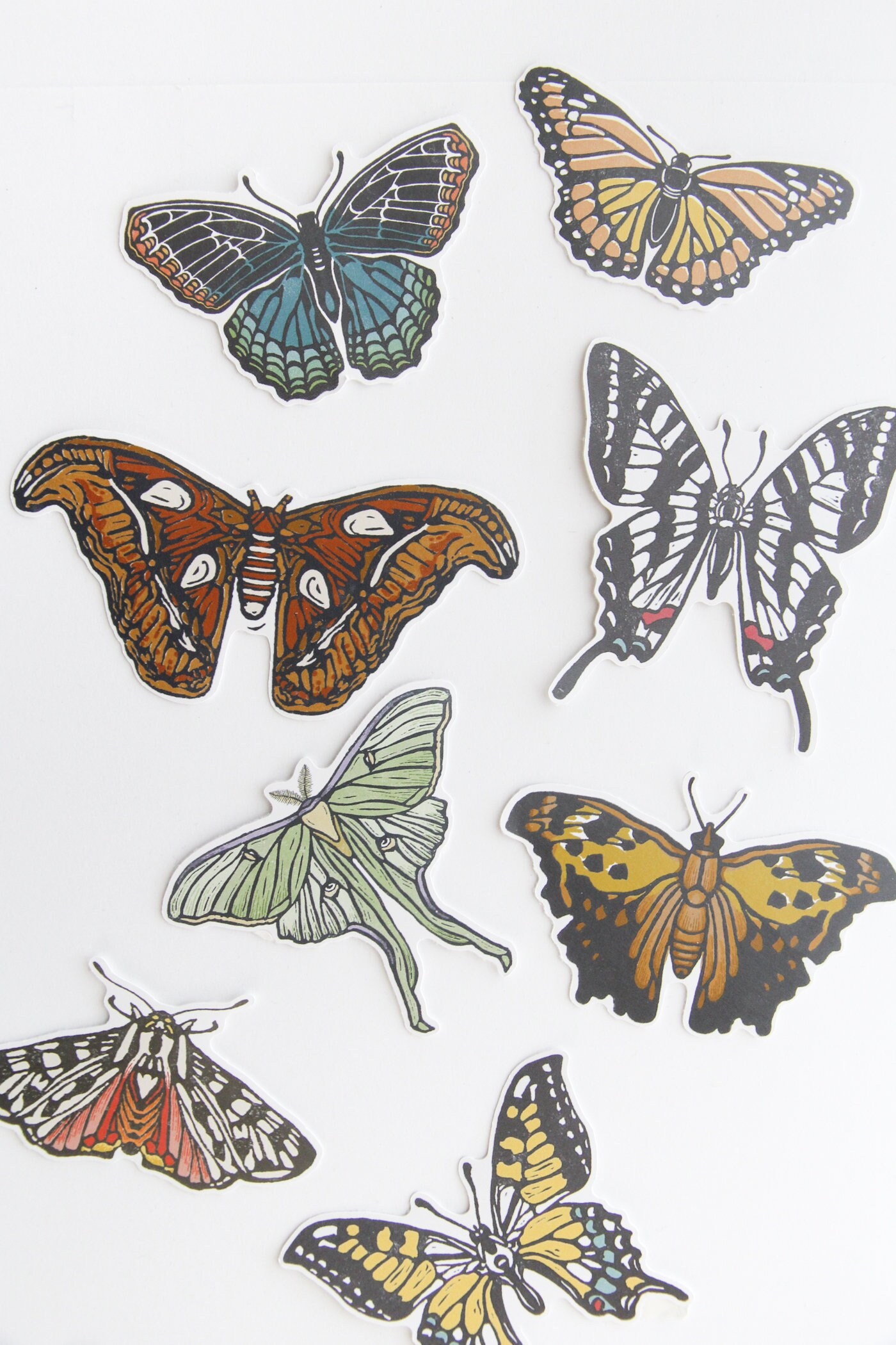 Question Mark Butterfly Sticker - Etsy