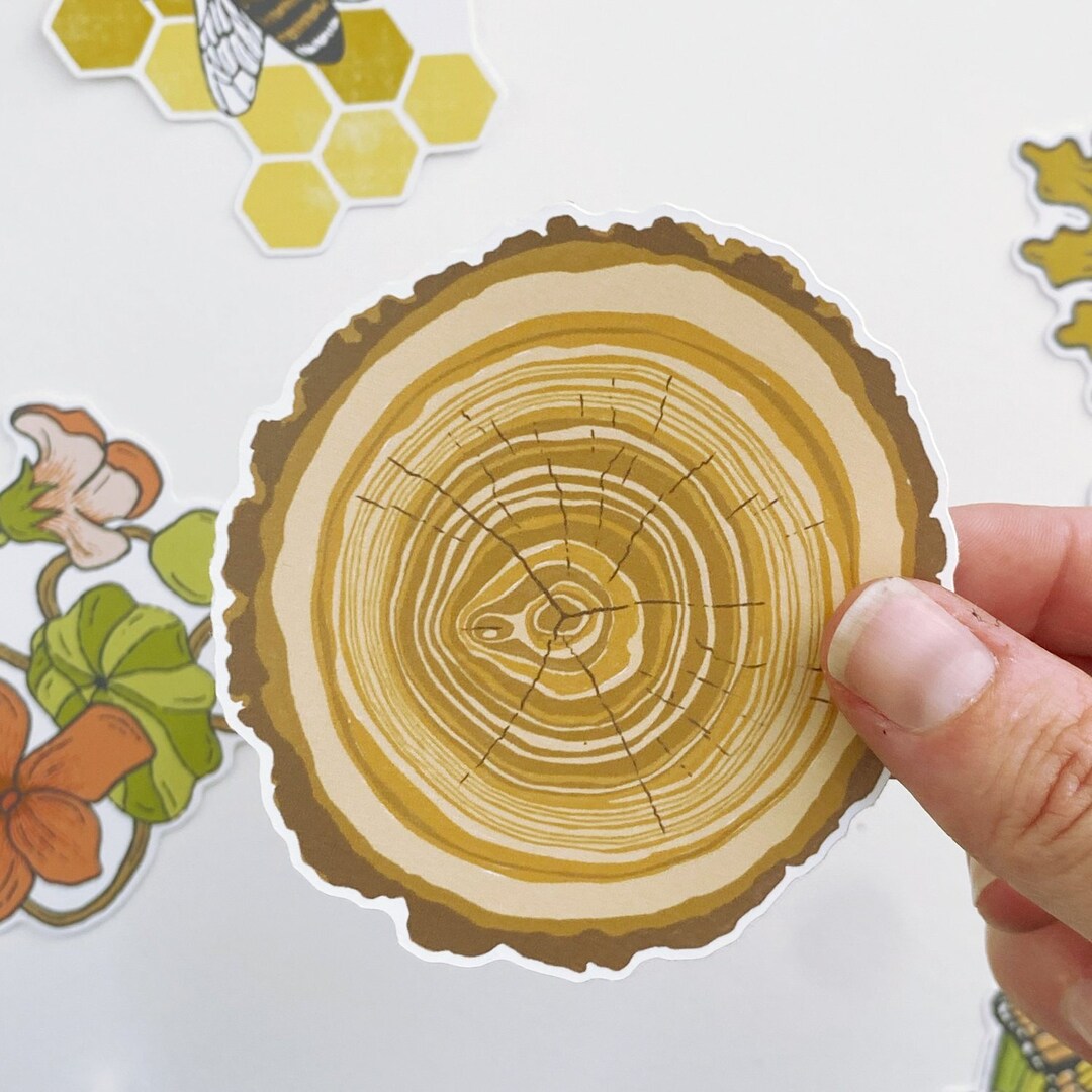 Tree Ring Sticker - Etsy