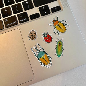 Beetles Sticker Sheet - Etsy