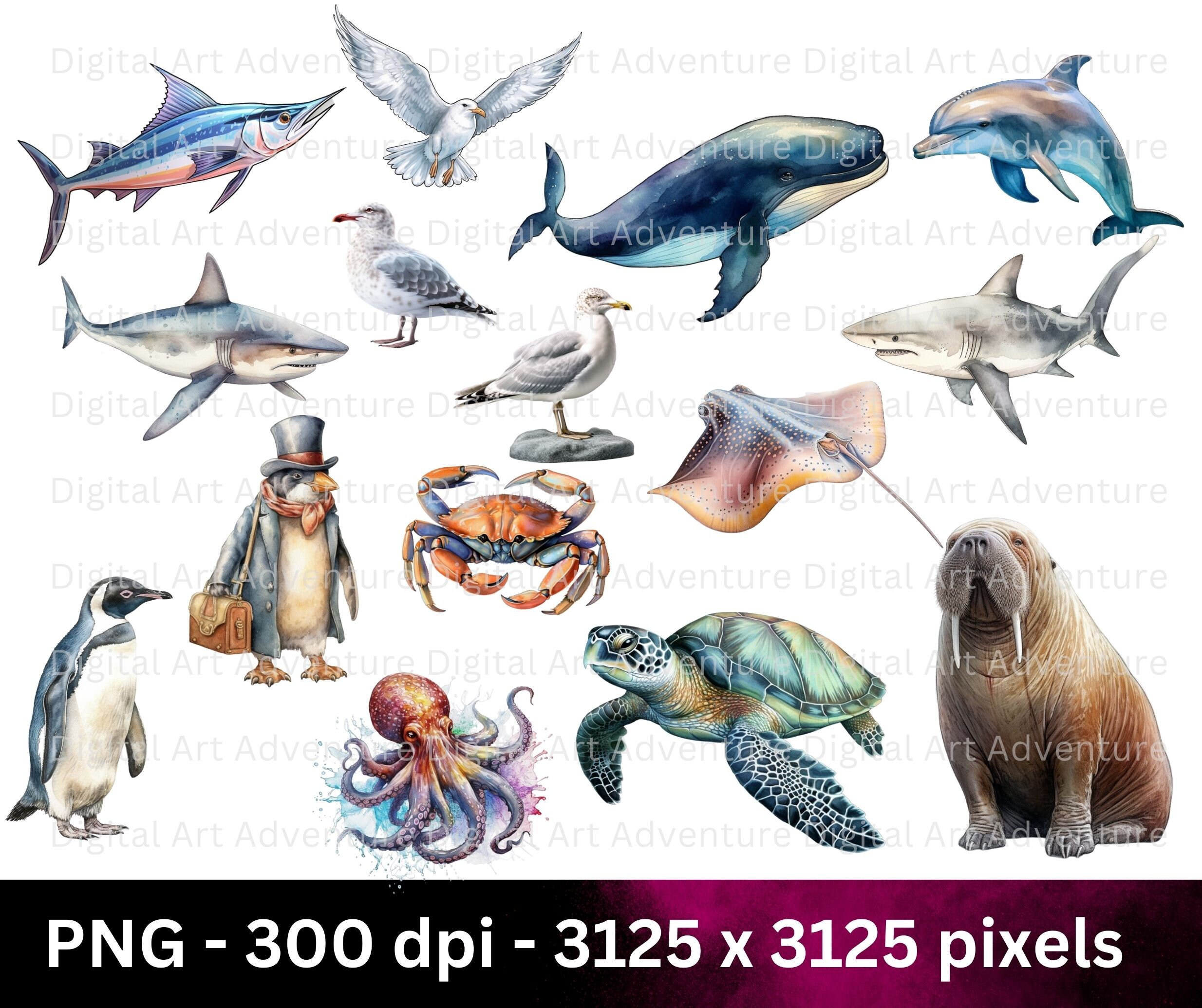 Seafaring Clipart, Pirates, Ocean, Watercolor, Sailing Ships, Sea ...