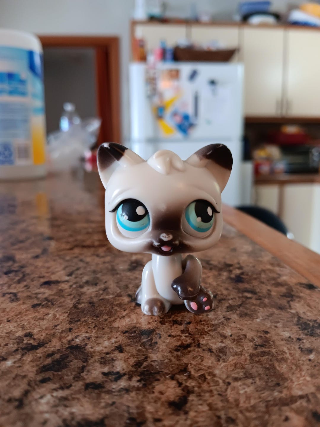 LPS First Generation Cat Rare Authentic Black & White Blue Eyes Tongue ...
