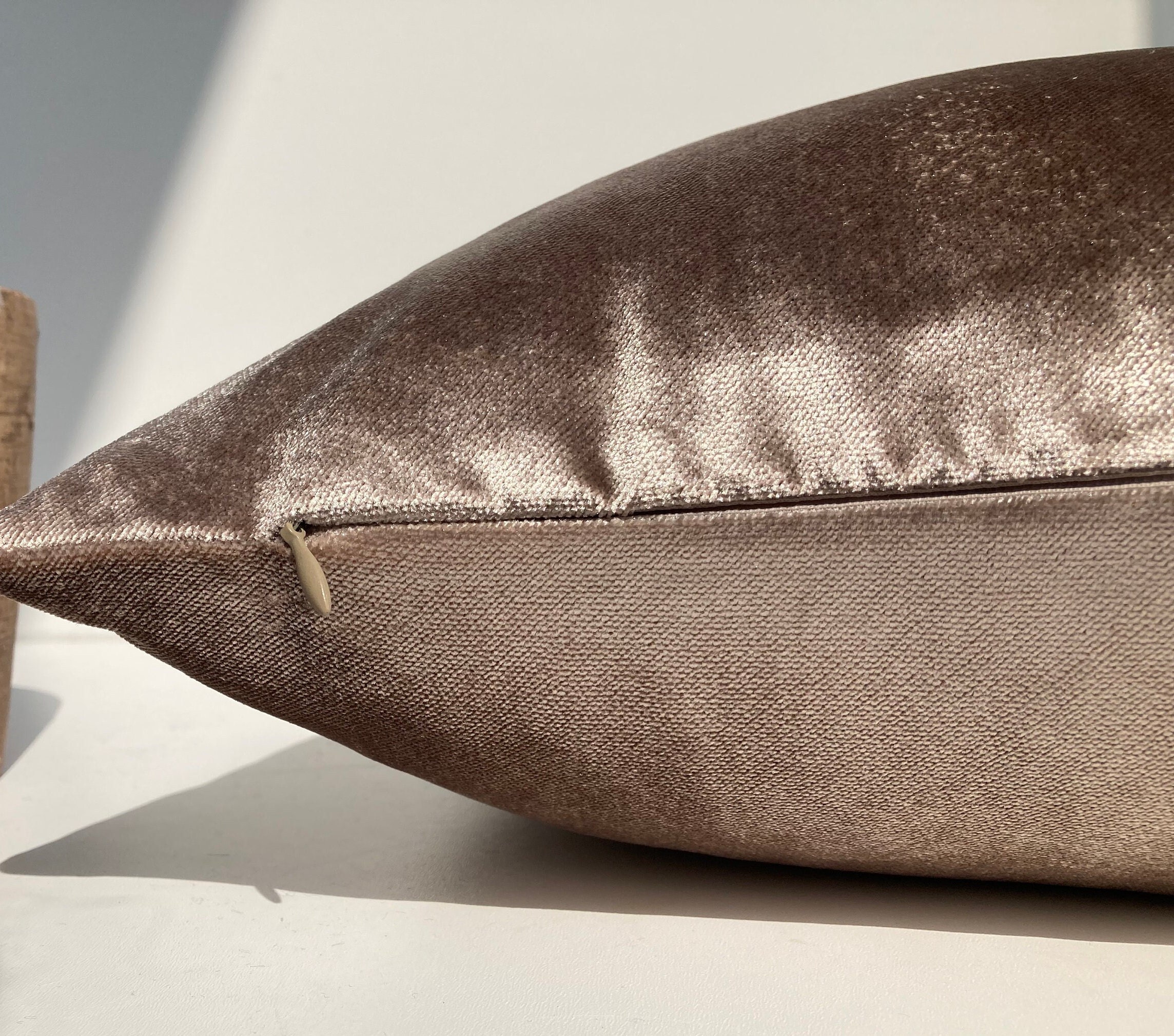 Luxury Champagne Velvet Pillow Iridescent Silk Velvet - Etsy