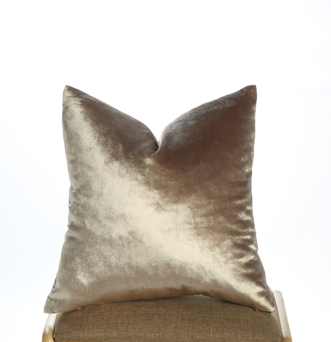 Luxury Champagne Velvet Pillow, Iridescent Silk Velvet Pillowcase, Soft ...
