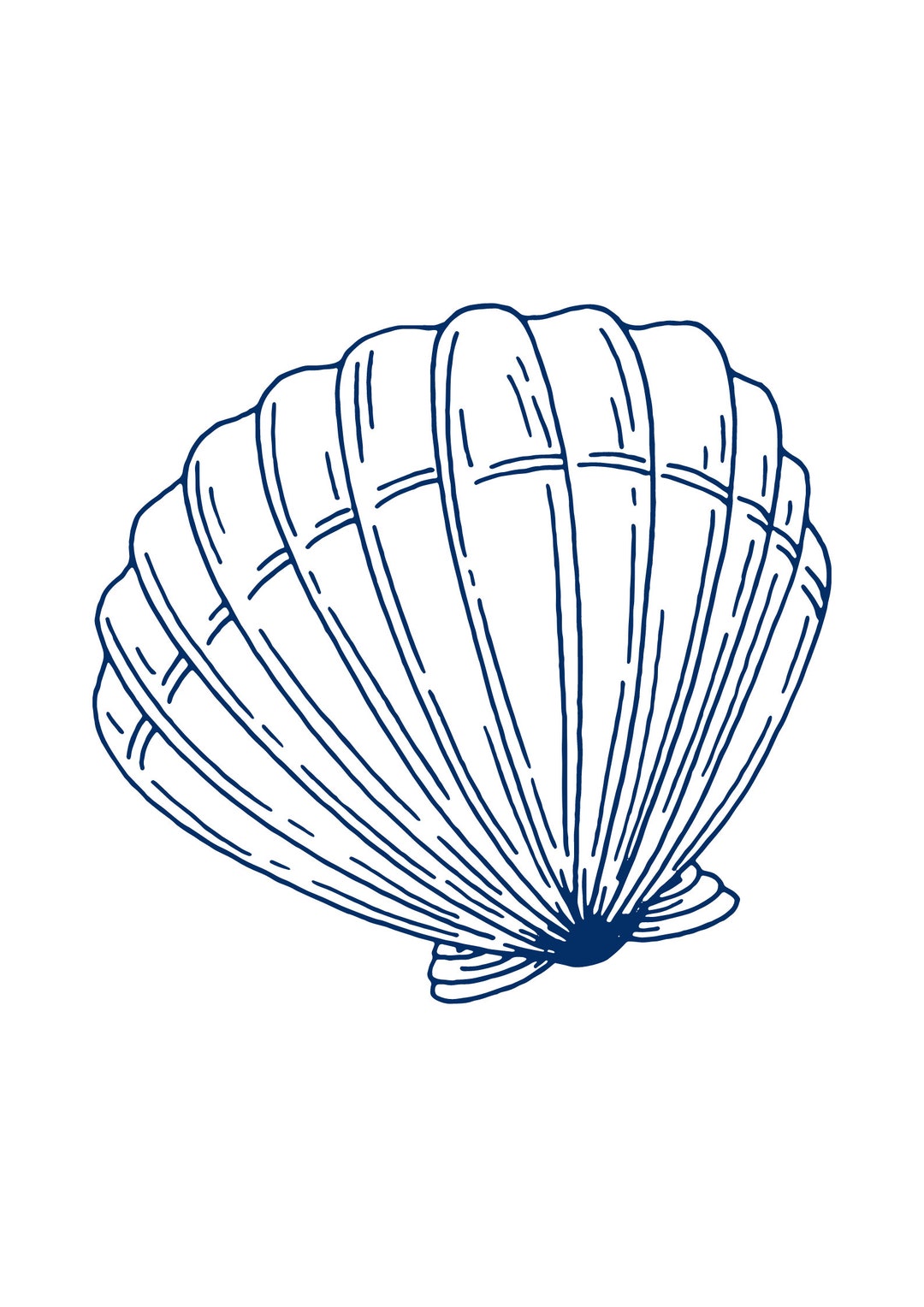 Shell A4 Digital Print - Etsy