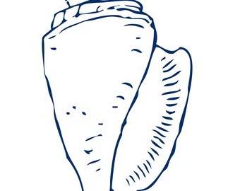 Shell A4 Digital Print - Etsy