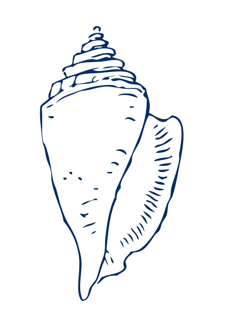 A4 Shell Digital Print - Etsy