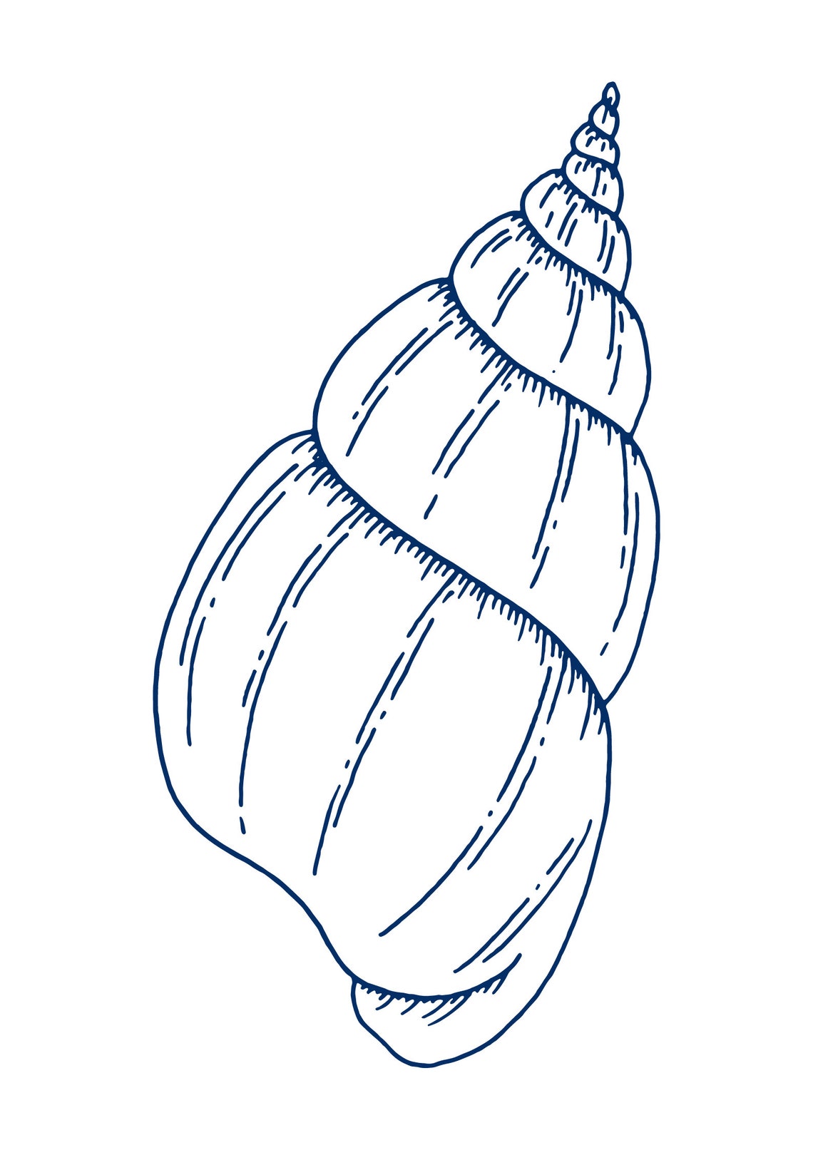 Shell A4 Digital Print - Etsy