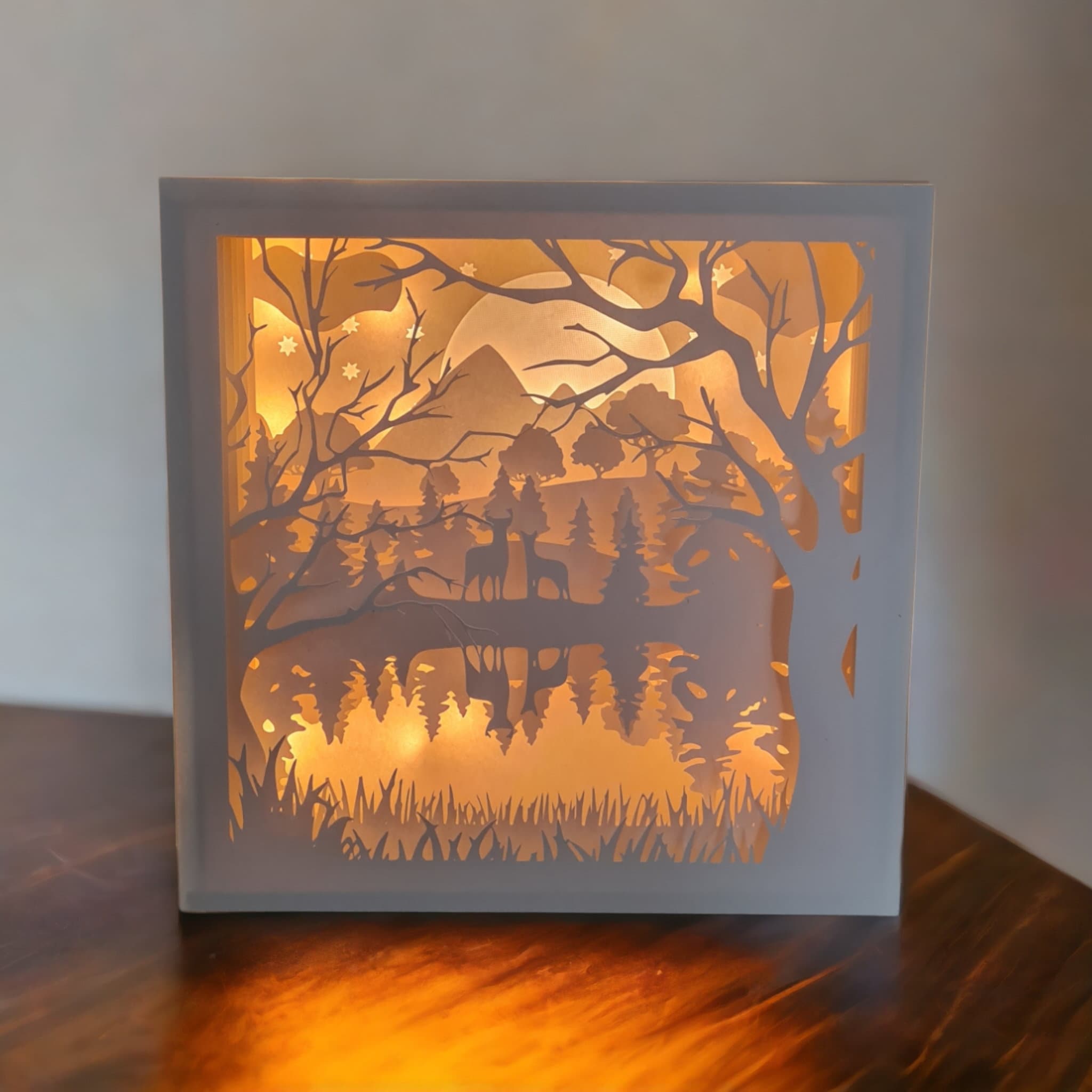 Fichier lightbox nature shadowbox - Etsy France