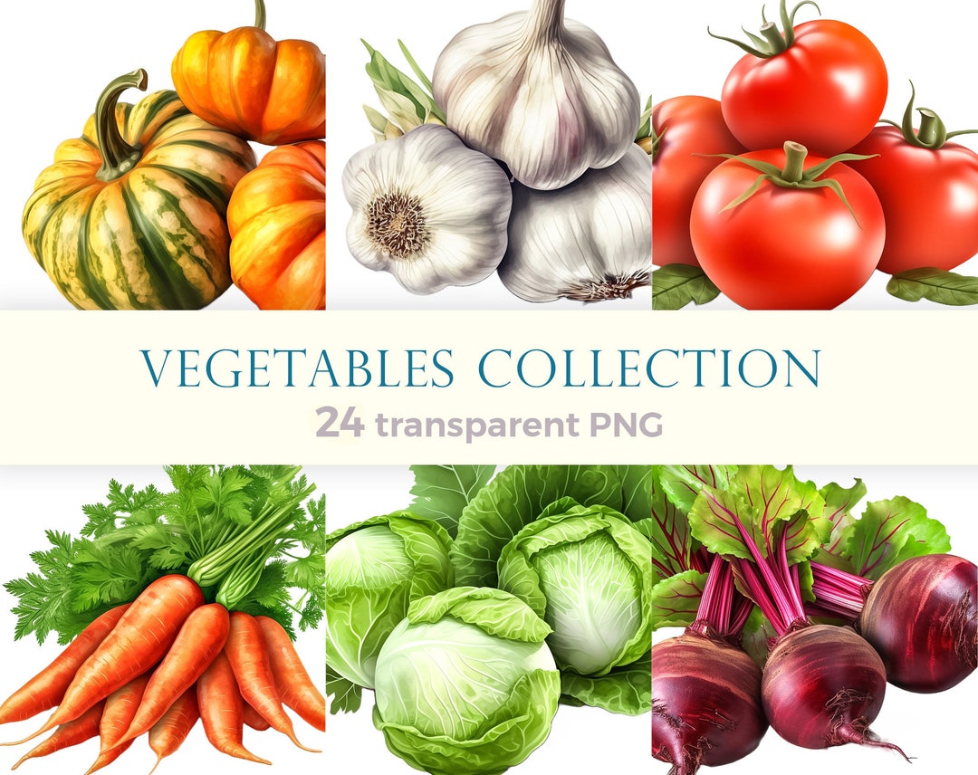 Realistic Fresh Vegetables PNG Clipart Collection, Close-up Isolated ...
