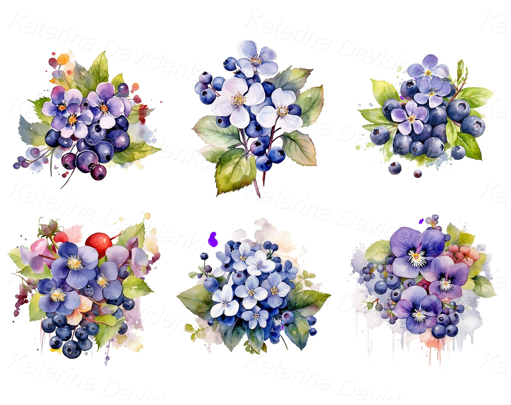 Watercolor Illustrations of Blueberries, Flowers PNG Clipart, Fresh ...