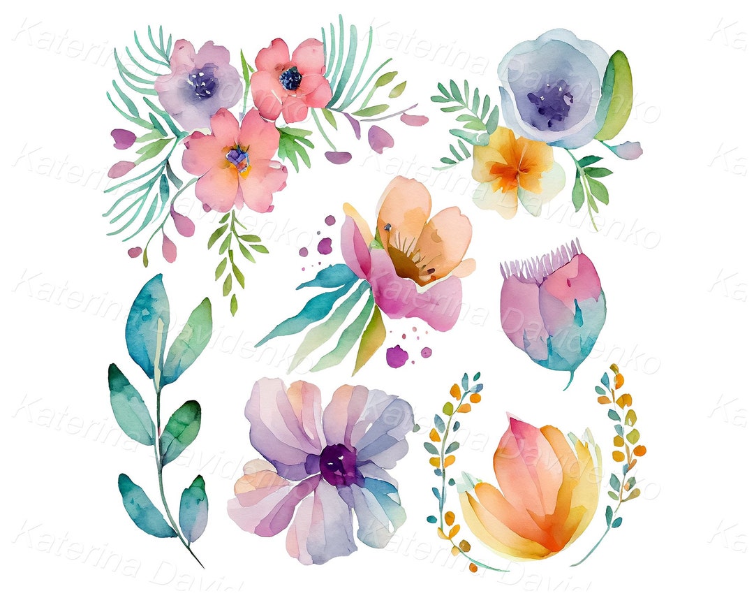 PNG Clipart Set of Design Elements With Watercolor Flowers, Floral ...