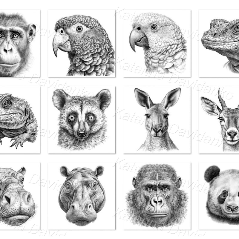 Pencil Drawings of Wild Animals - Etsy UK