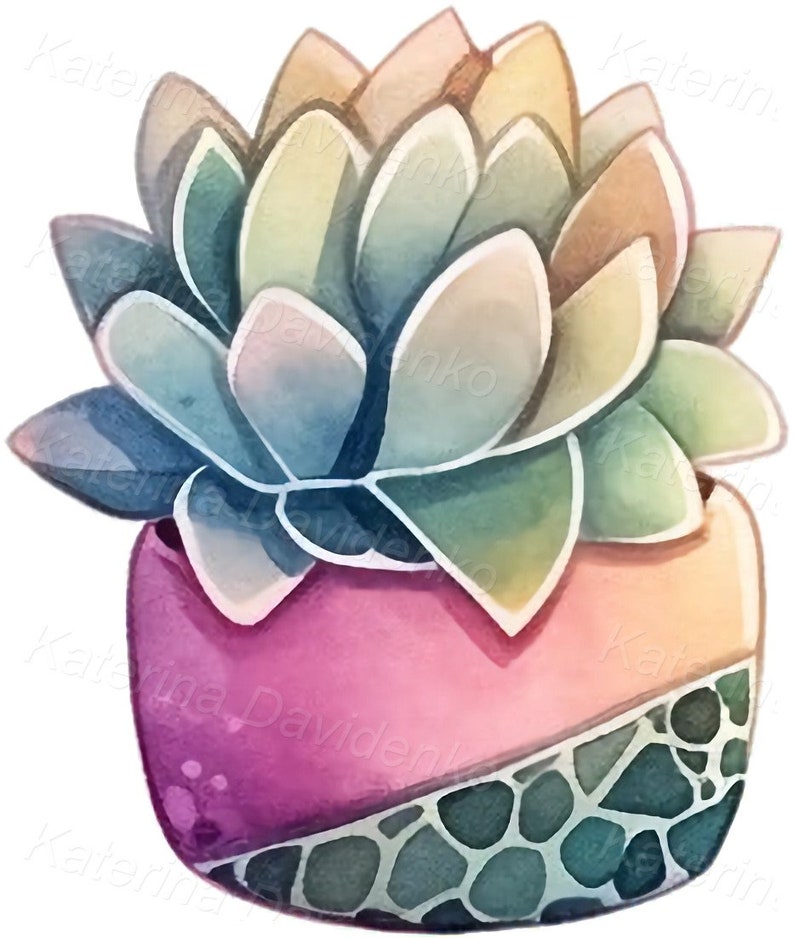 Watercolor Cactus PNG Clipart, Collection of Succulent Clip Art, Cacti ...