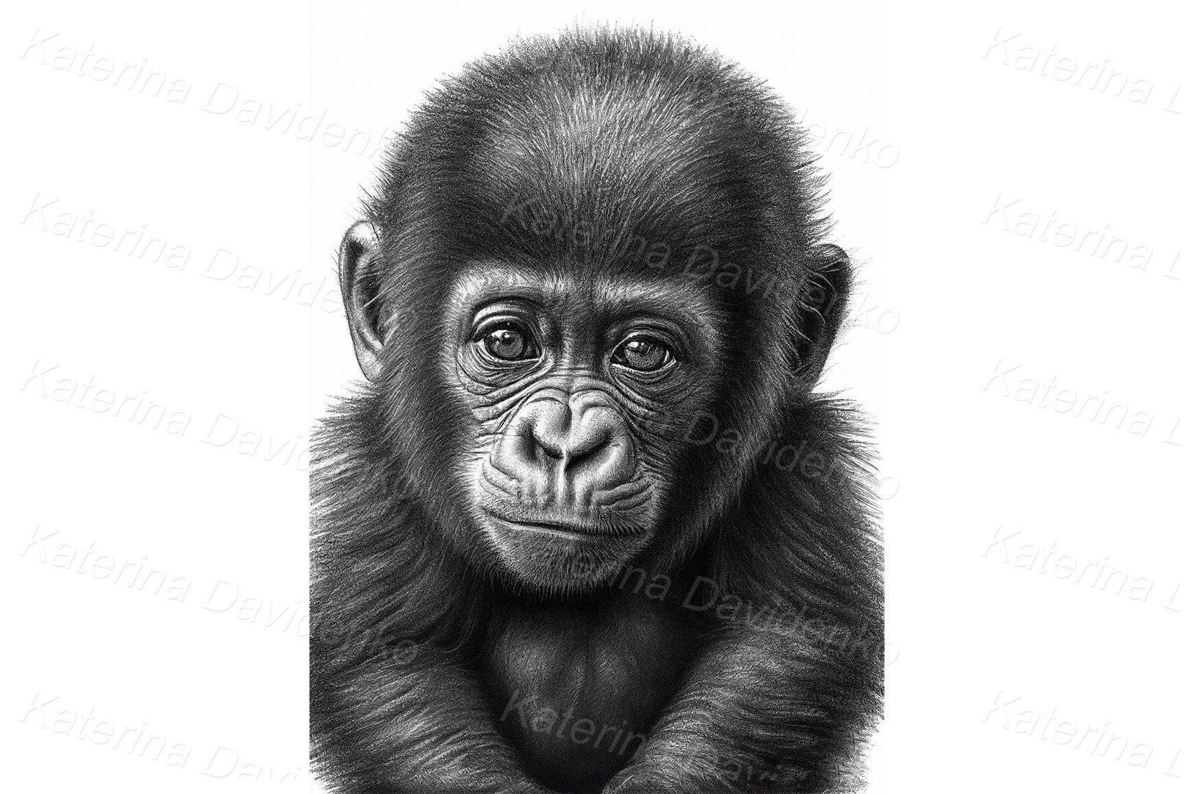 Baby Gorilla Drawing