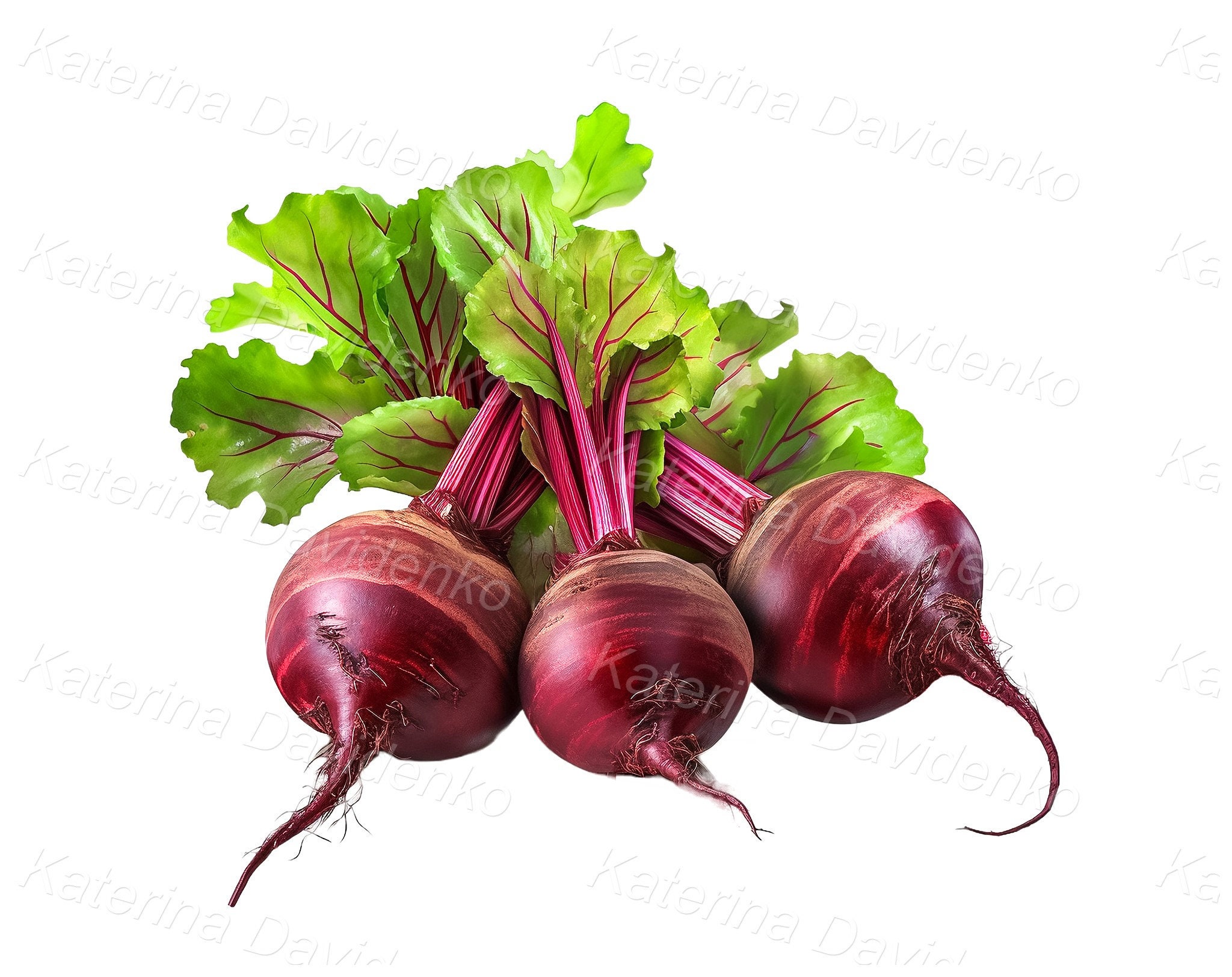 Realistic Fresh Vegetables PNG Clipart Collection, Close-up Isolated ...