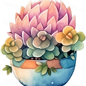 Watercolor Cactus PNG Clipart, Collection of Succulent Clip Art, Cacti ...