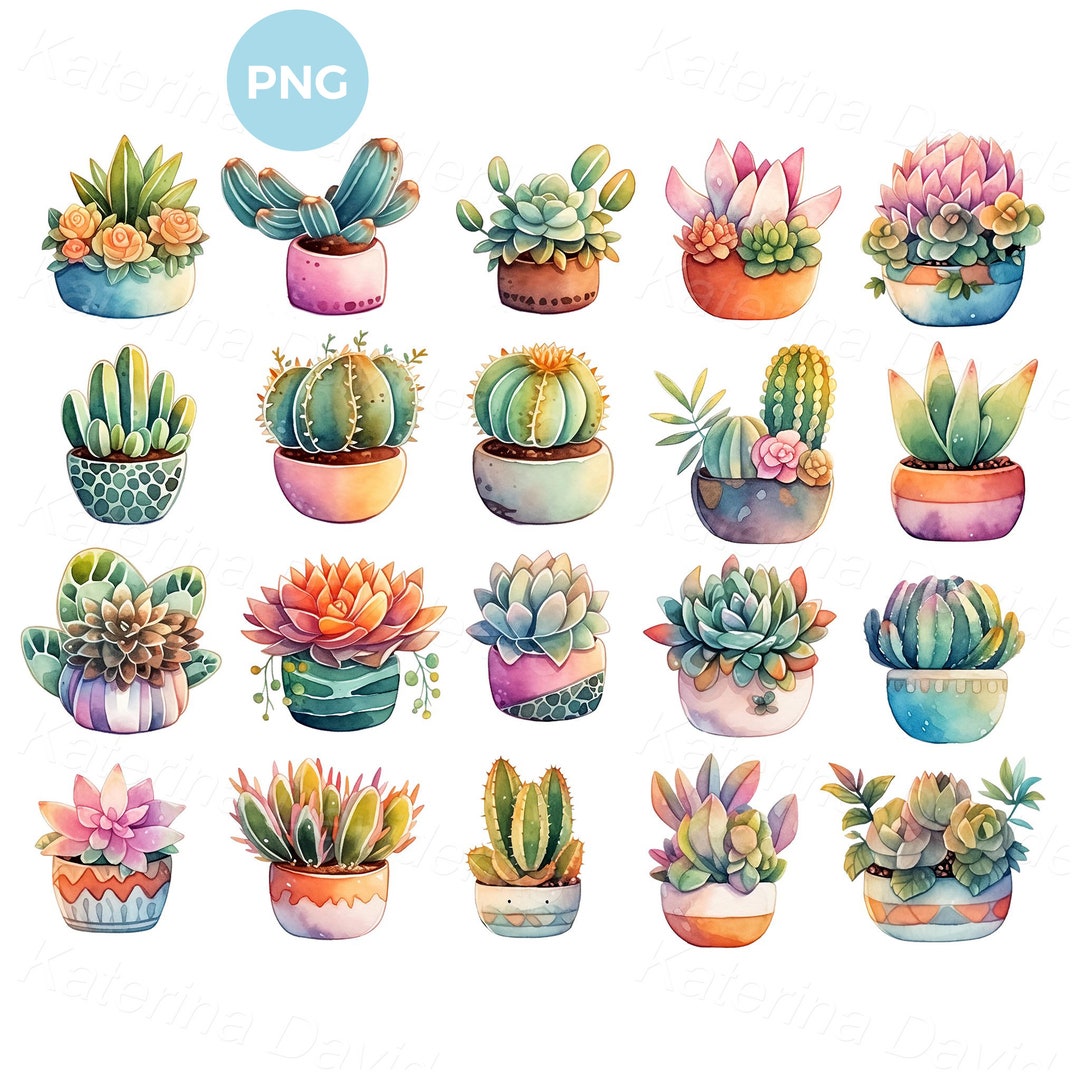Watercolor Cactus PNG Clipart, Collection of Succulent Clip Art, Cacti ...