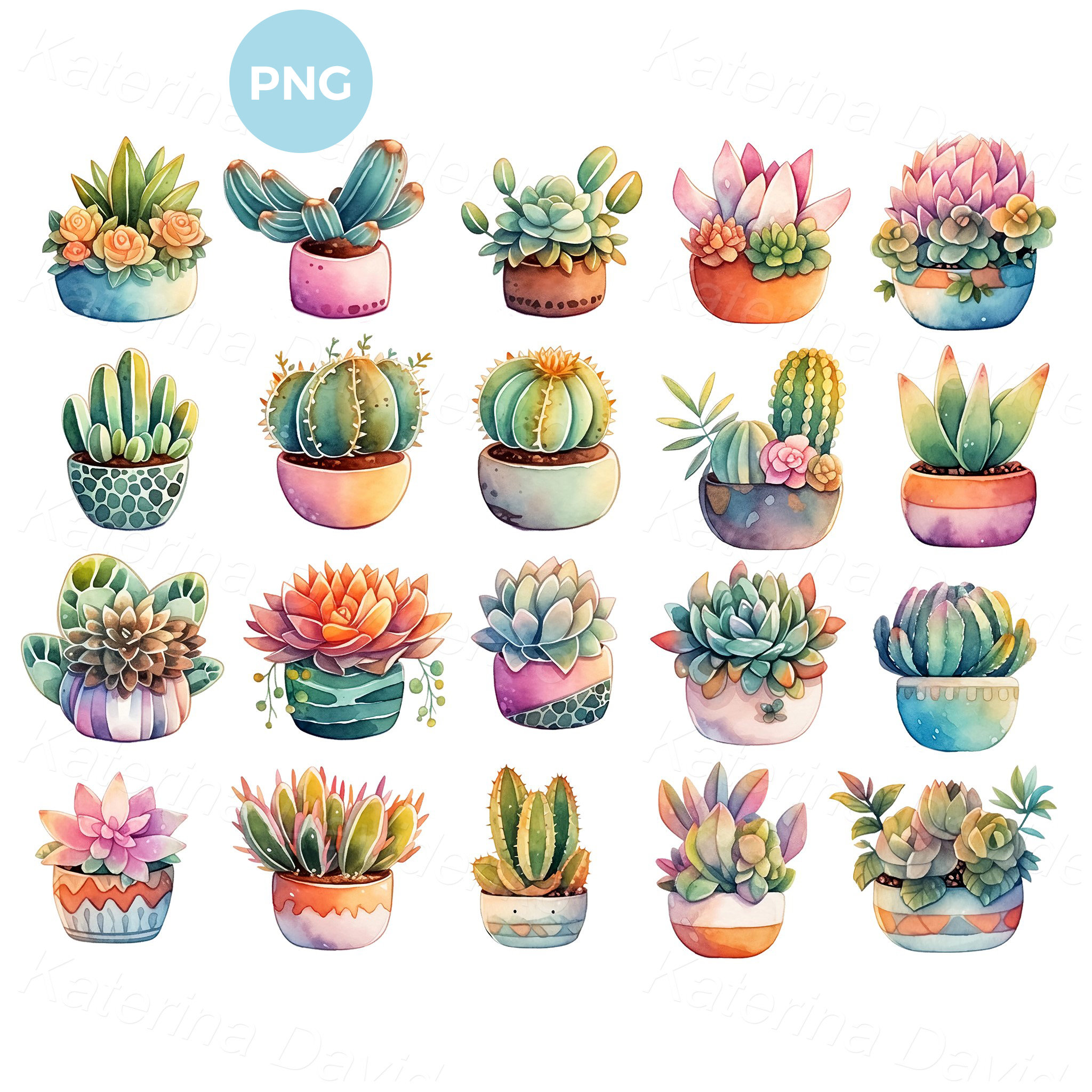 Watercolor Cactus PNG Clipart, Collection of Succulent Clip Art, Cacti ...