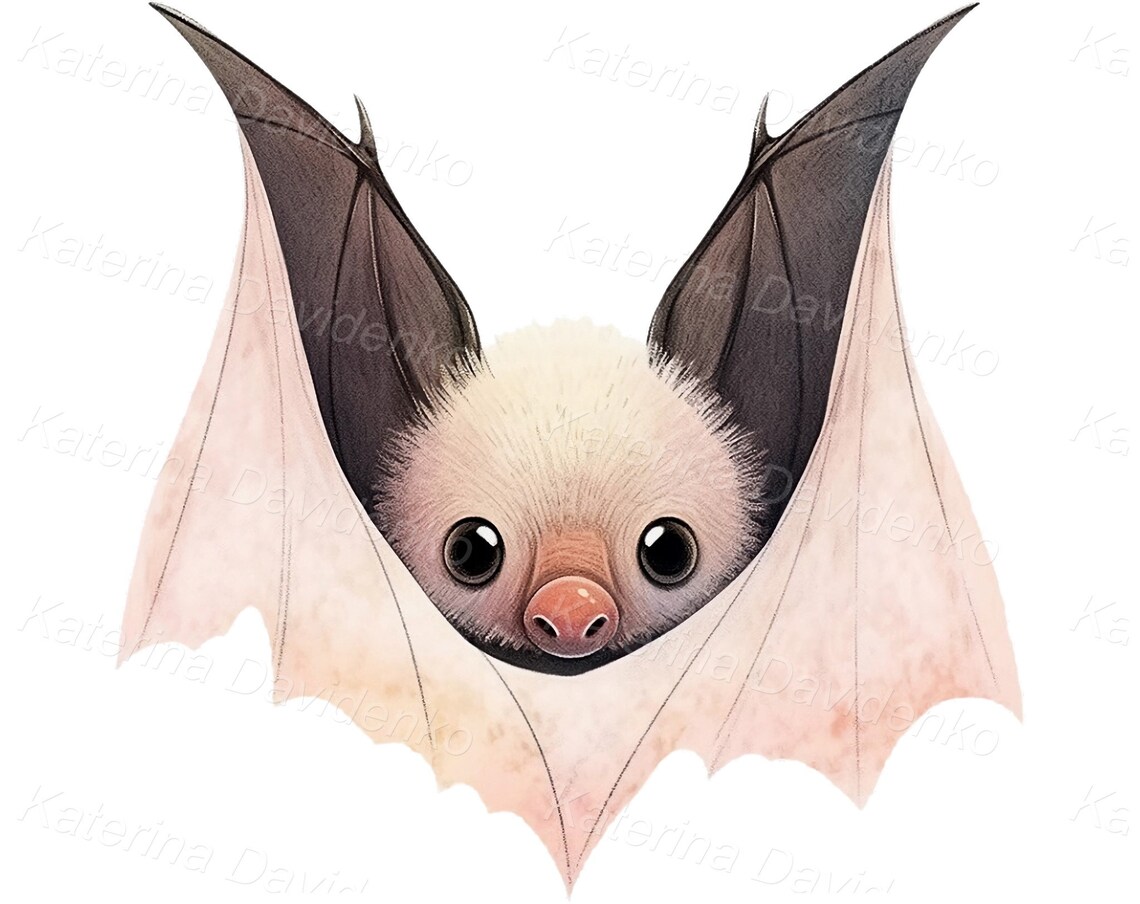 Watercolor PNG Clipart Set of Cute Cartoon Flying Bat. Funny Bat ...