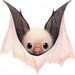 Watercolor PNG Clipart Set of Cute Cartoon Flying Bat. Funny Bat ...