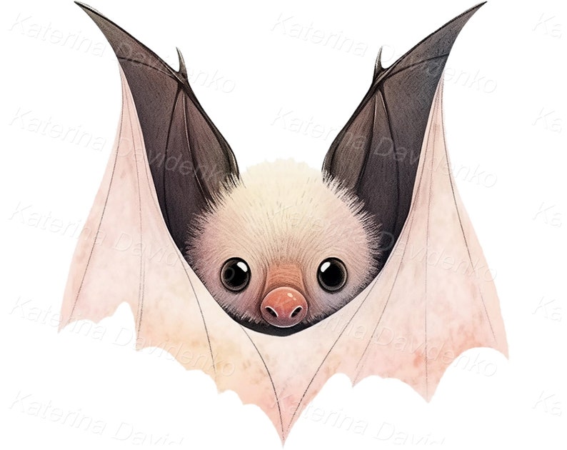 Watercolor PNG Clipart Set of Cute Cartoon Flying Bat. Funny Bat ...