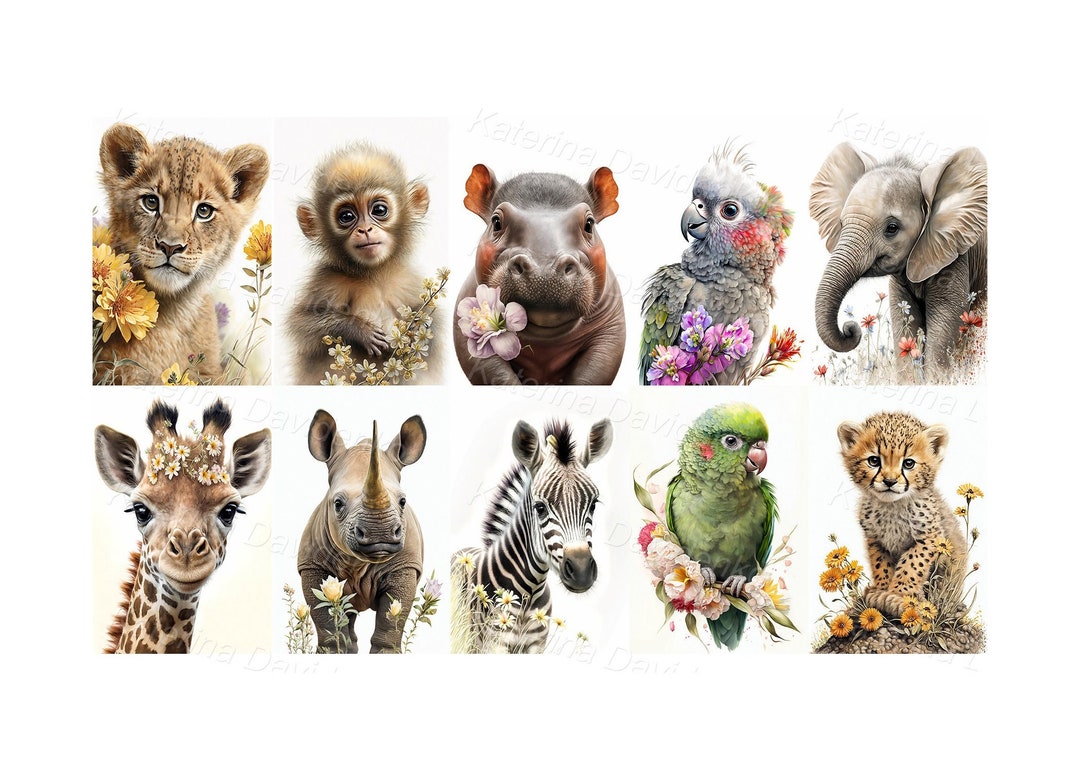 Set of Printable Cute Wild African Baby Animals. Safari Jungle Art ...