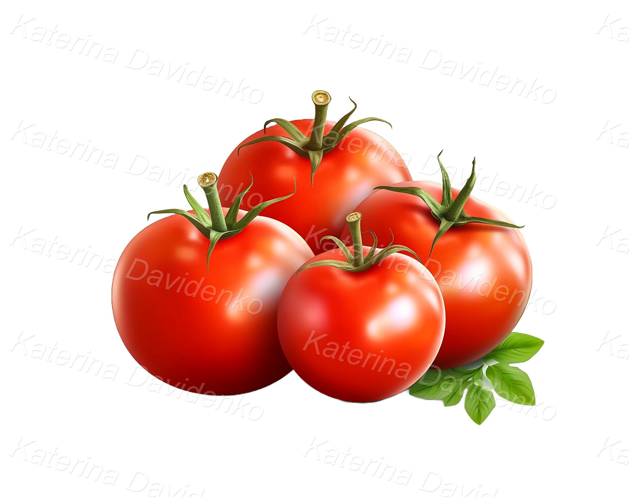 Realistic Fresh Vegetables PNG Clipart Collection, Close-up Isolated ...