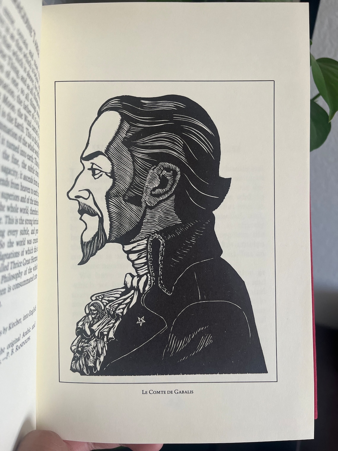 Le Comte De Gabalis / the Irreconcilable Gnomes by Abbé - Etsy