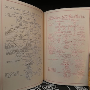 CODEX ROSAE CRUCIS D. O. M. A., by Manly P Hall Occult, Rosicrucian ...