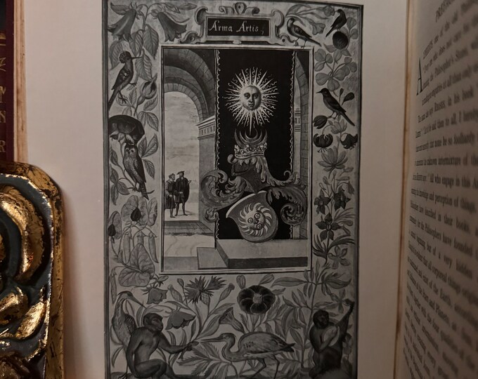 Sprayed Edges - Quicksilver (the Fae & Alchemy Series) by Callie Hart ...