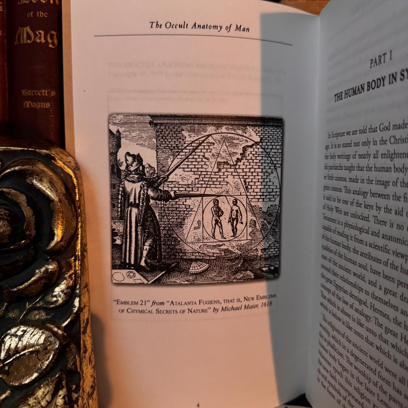 The Occult Anatomy of Man Manly P Hall New Age Spirituality Occult ...