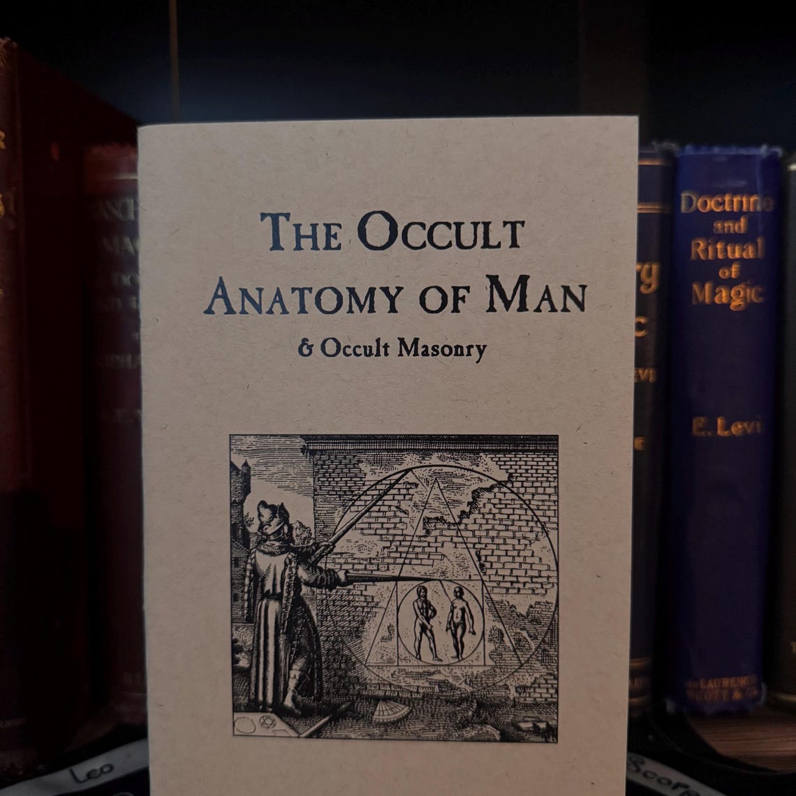 The Occult Anatomy of Man Manly P Hall New Age Spirituality Occult ...
