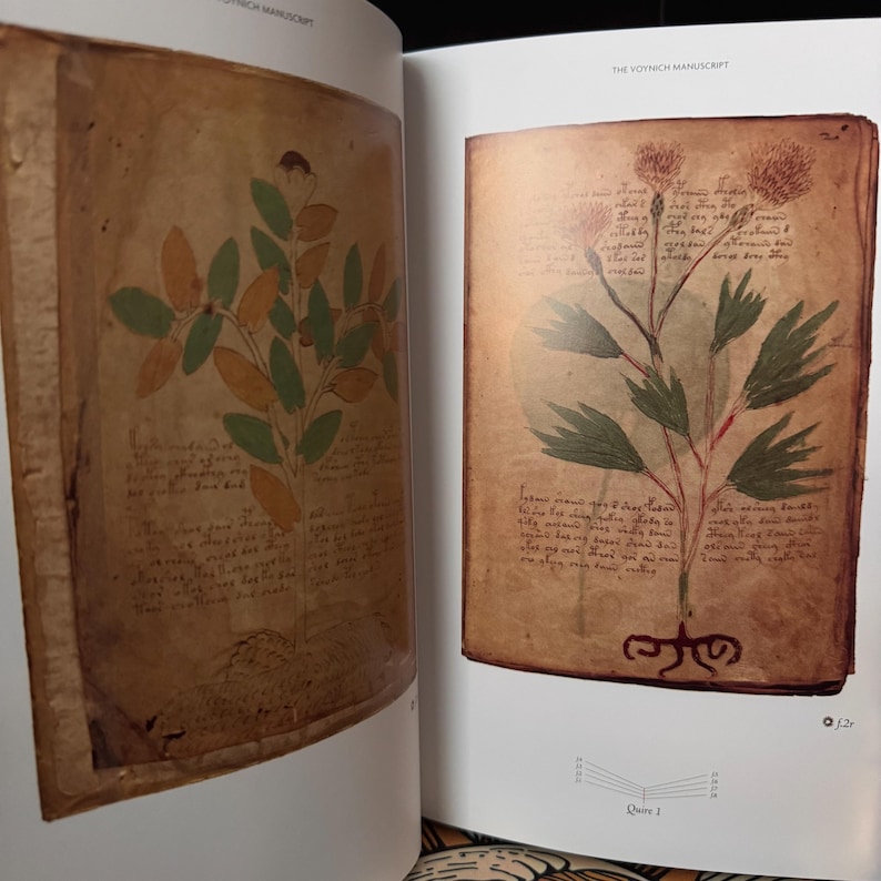 The Voynich Manuscript: the Complete Edition of the World' Most ...