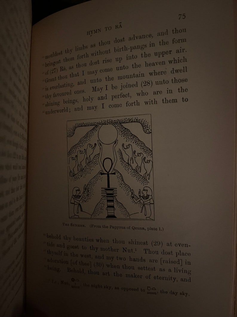 Books of the Dead Vol. 1-3 rare Find Rare Occult, Paganism, Necromancy ...