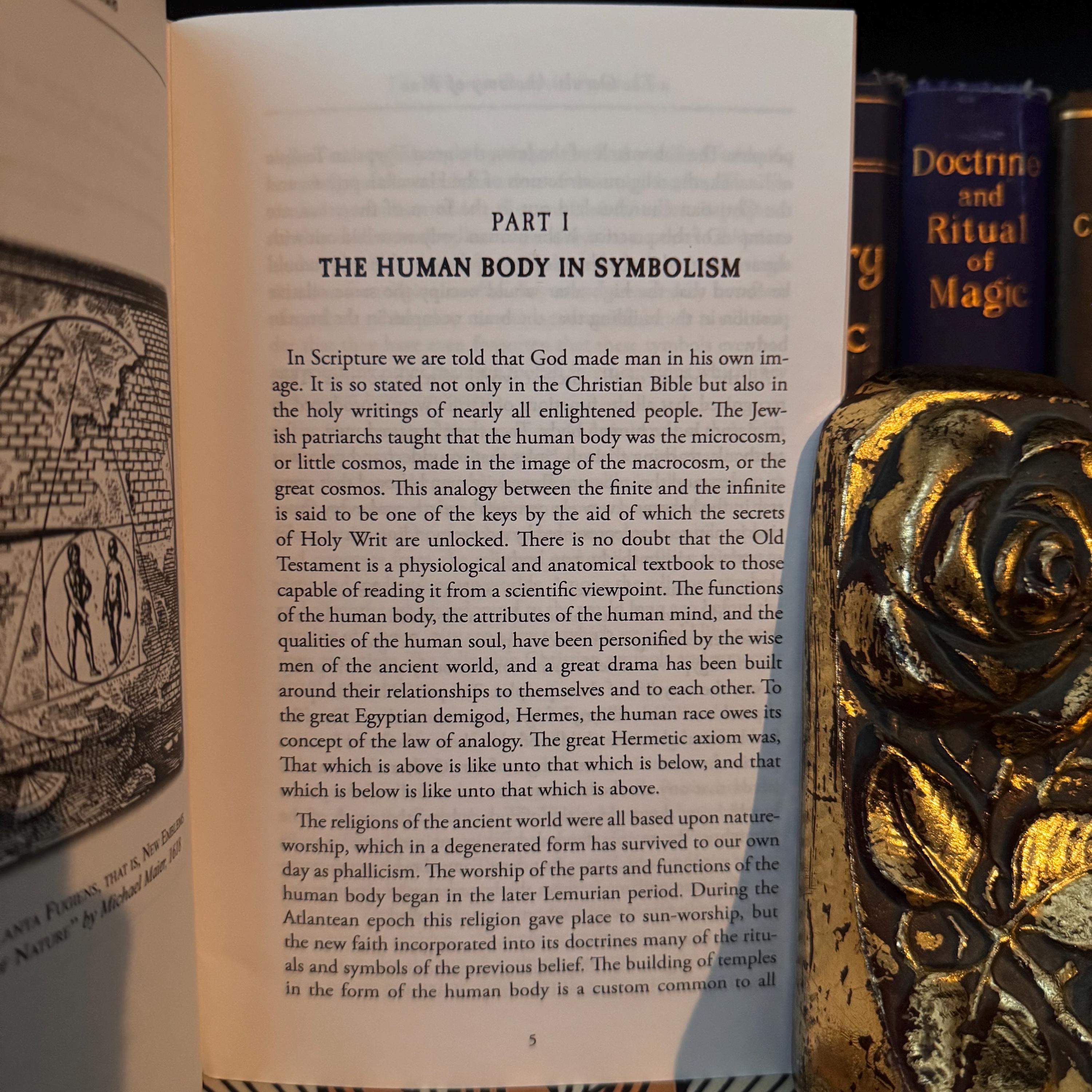 The Occult Anatomy of Man Manly P Hall New Age Spirituality Occult ...