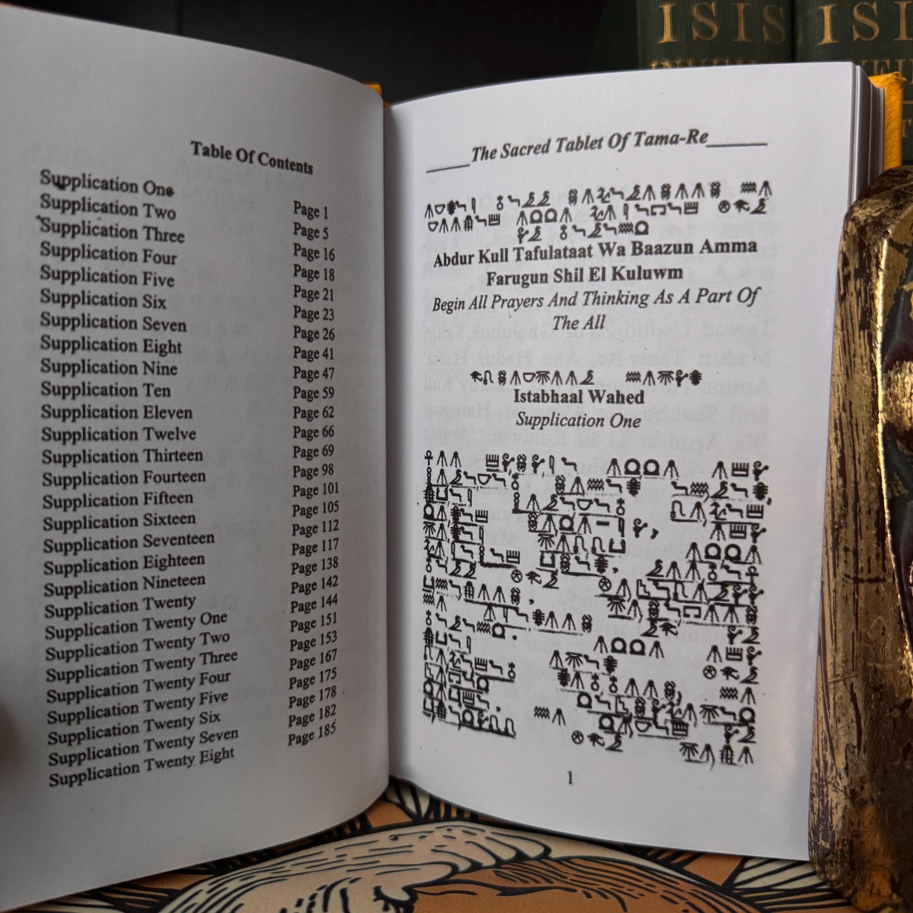 Sacred Records -the Black Book and the Gold Book Malachi York El ...